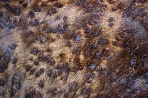 Redwood Lace Burl – Alec Steele Co.